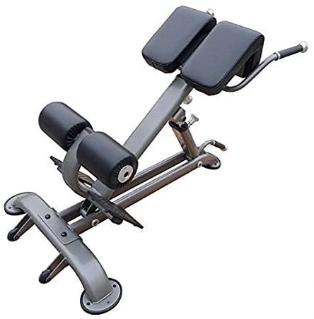 Top 10 Best Back Extension Benches for Home Gym in 2025 - SpaceMazing